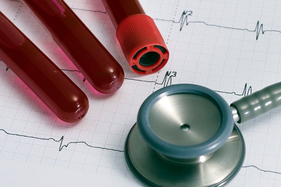 FormFox Training Academy