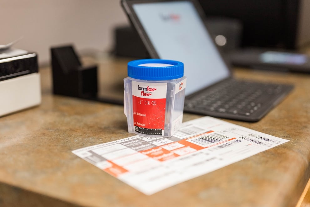 FormFox Training Academy